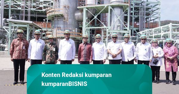 Menteri Rosan Apresiasi PT Nippon Shokubai Indonesia Ekspansi Rp 1,69 T | kumparan.com